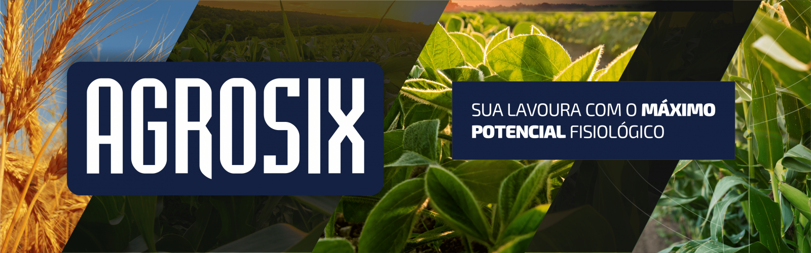 Home | Unity Agro - UnityAgro