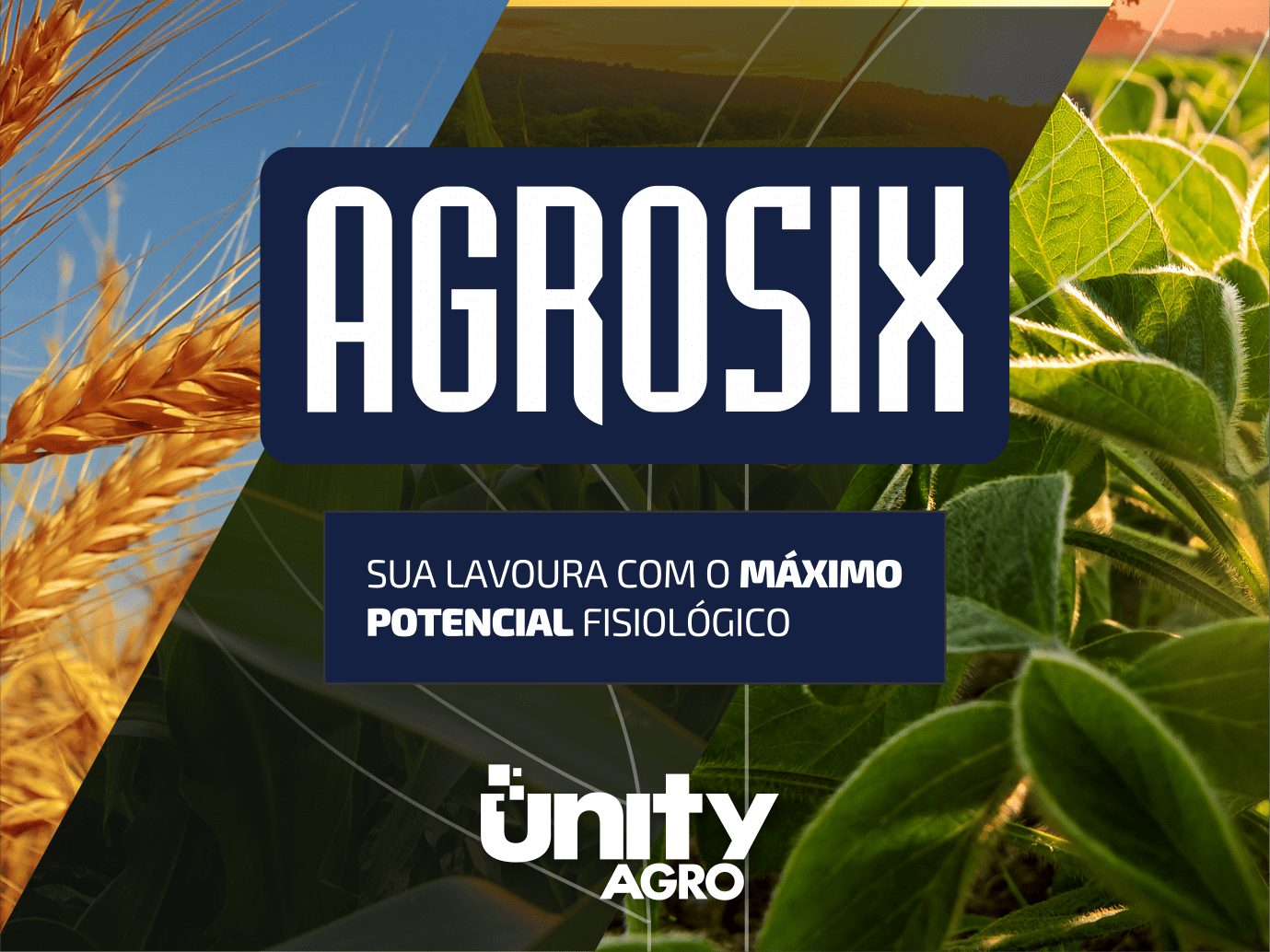 Home | Unity Agro - UnityAgro